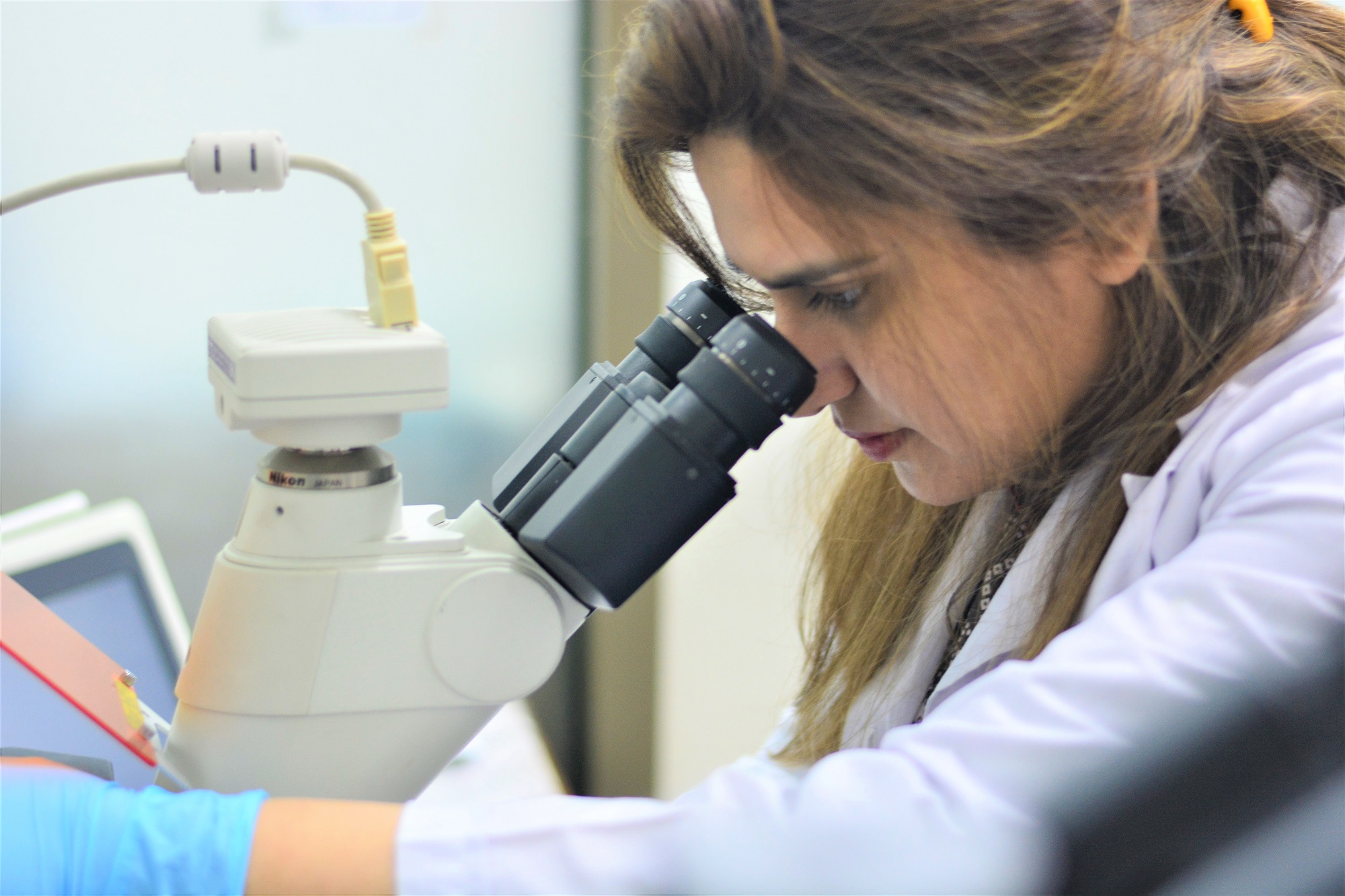 Biotech startup TurtleTree Labs announces pre-seed round with leading ...